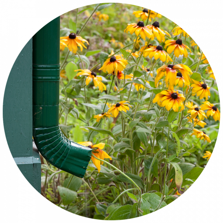 Lesson Plans - Rain Gardens - KidsGardening