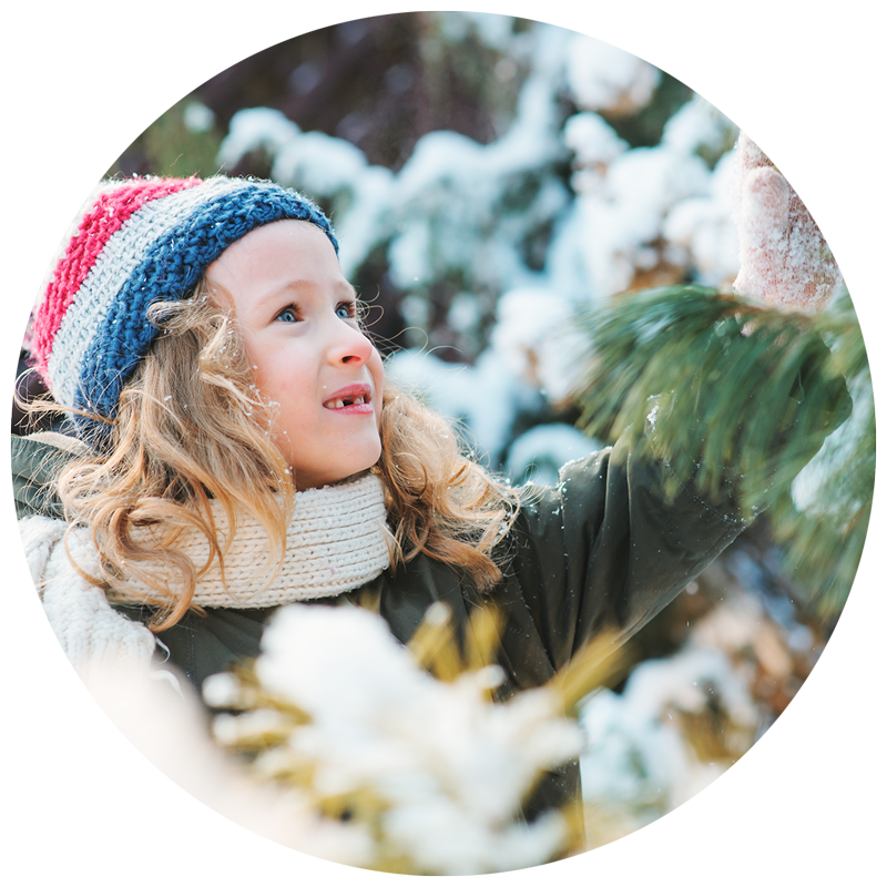 Garden Activities Art In The Winter Garden KidsGardening garden-activities-art-in-the-winter-garden-kidsgardening