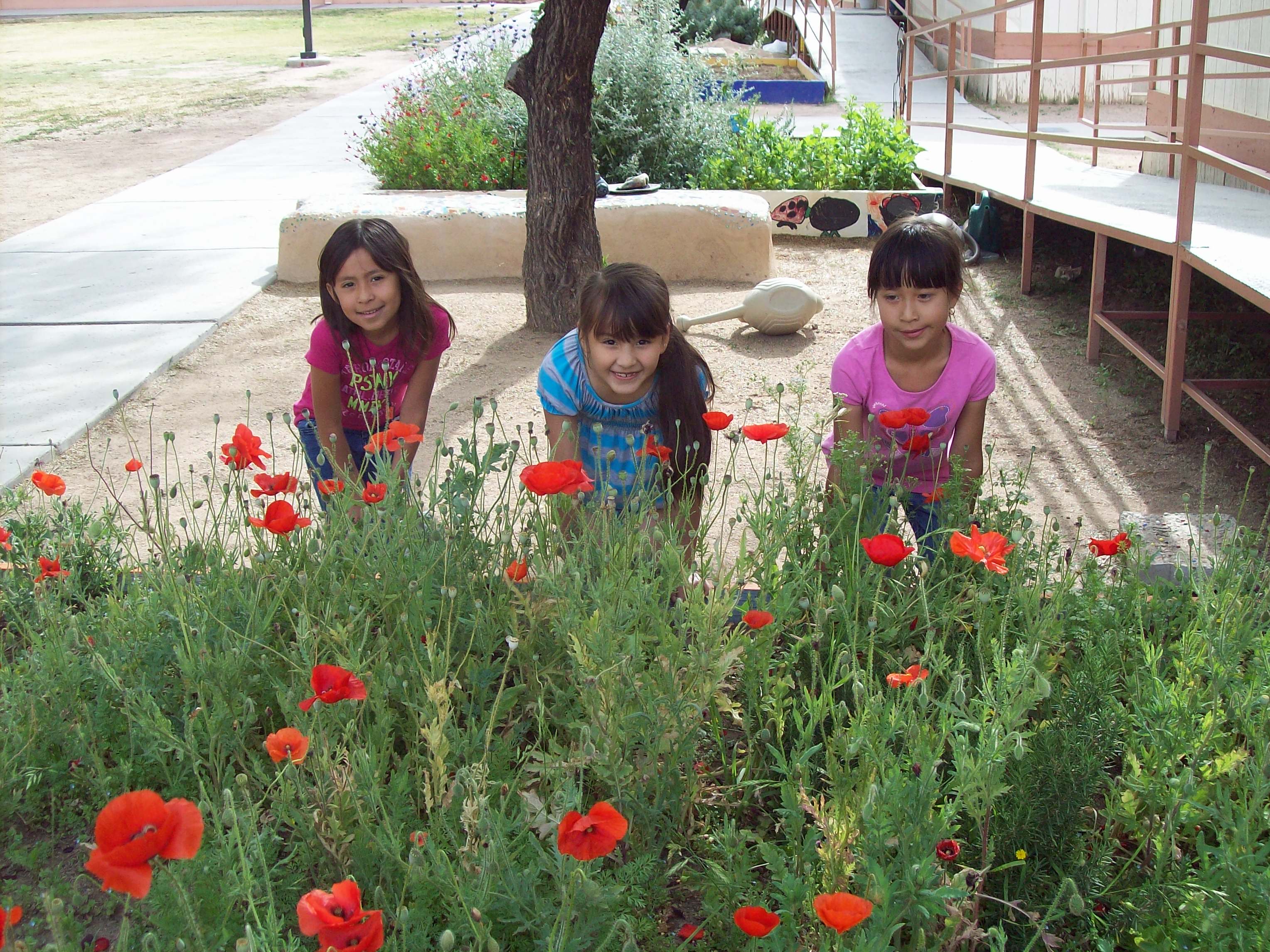 Remembering Memorial Day - KidsGardening