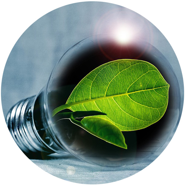 Light Experiments - KidsGardening