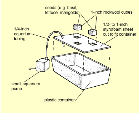 Layout Drawings For A Hydroponic Grow System
