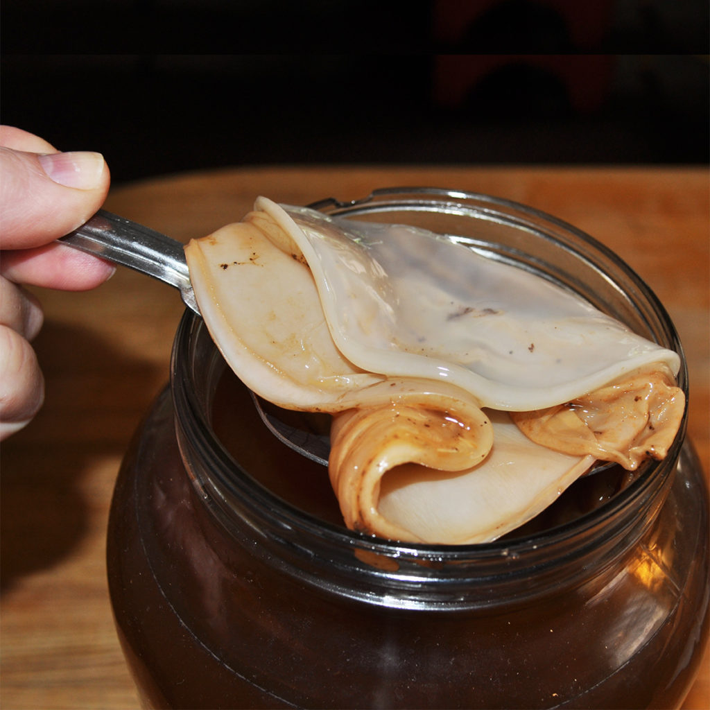 Foods We Ferment — And Why - KidsGardening