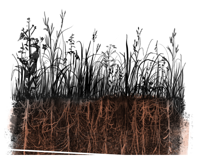 Digging into Soil - KidsGardening