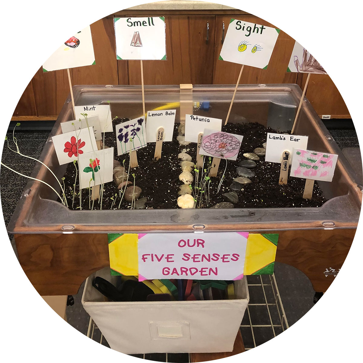 Making Garden Signs for Accessibility to All - KidsGardening