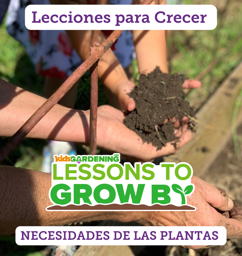 Lecciones para Crecer: Necesidades de las plantas - KidsGardening