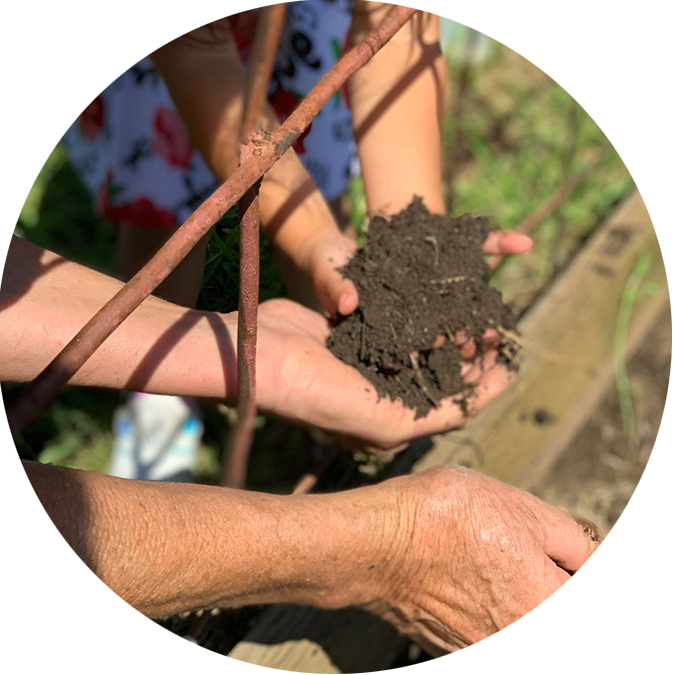 Lecciones para Crecer: Necesidades de las plantas - KidsGardening