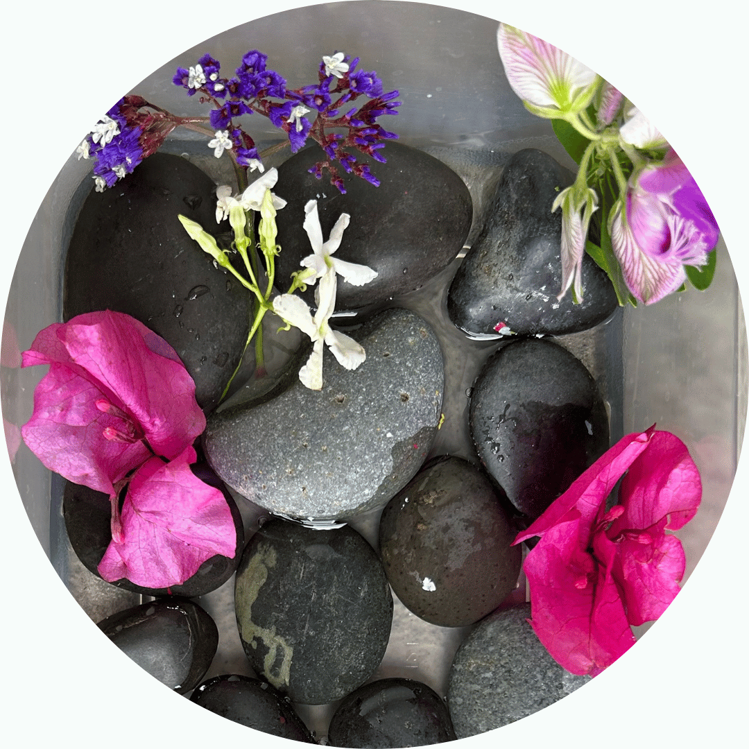 Pollinator Water Station - KidsGardening