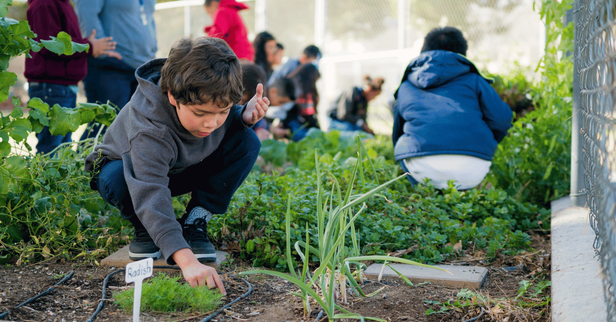 Green Our Planet Grant Programs- Now Open! - KidsGardening