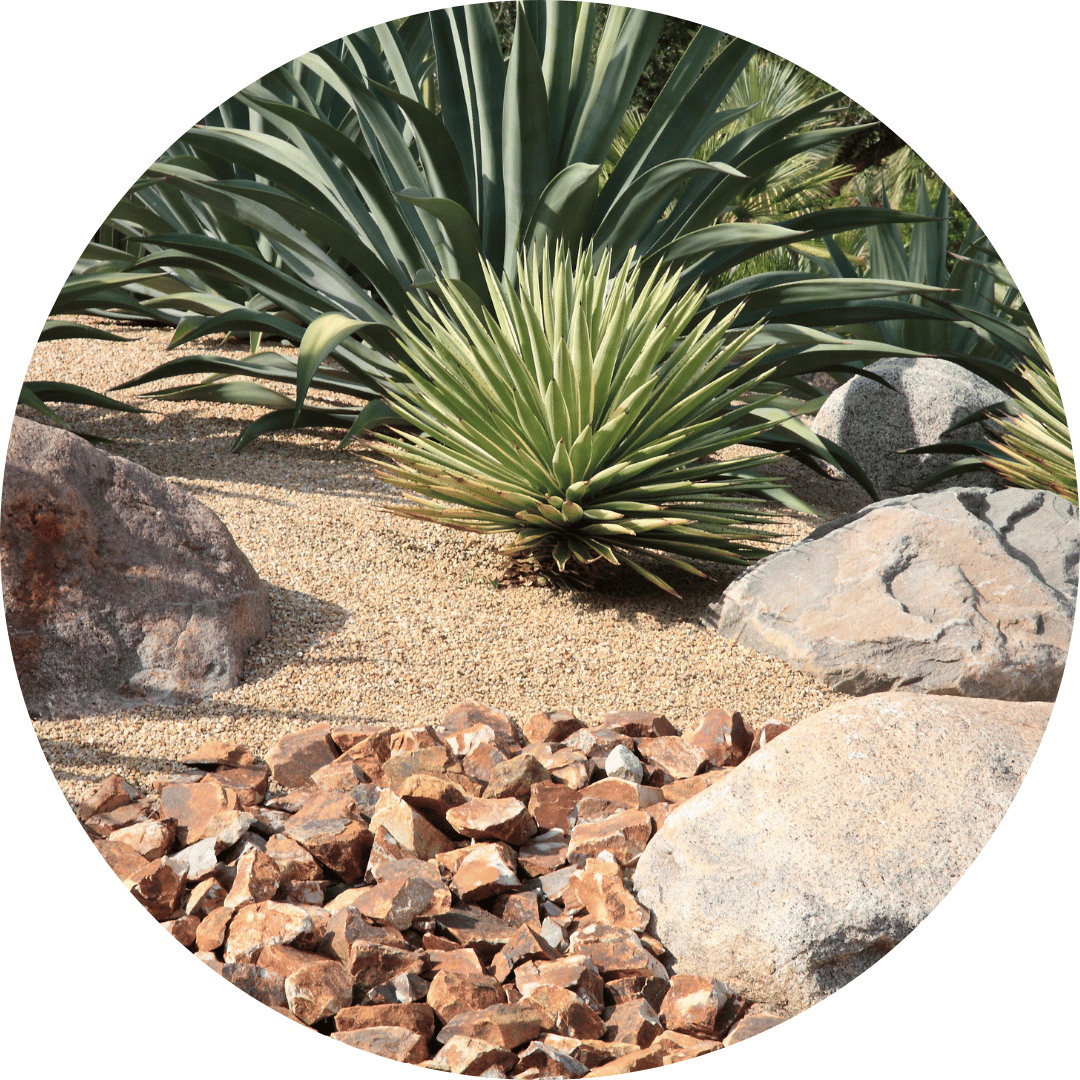 Conserve Water with Xeriscaping Techniques - KidsGardening