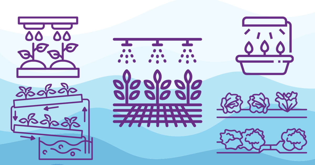 Selecting a Hydroponic System for Your Classroom - KidsGardening